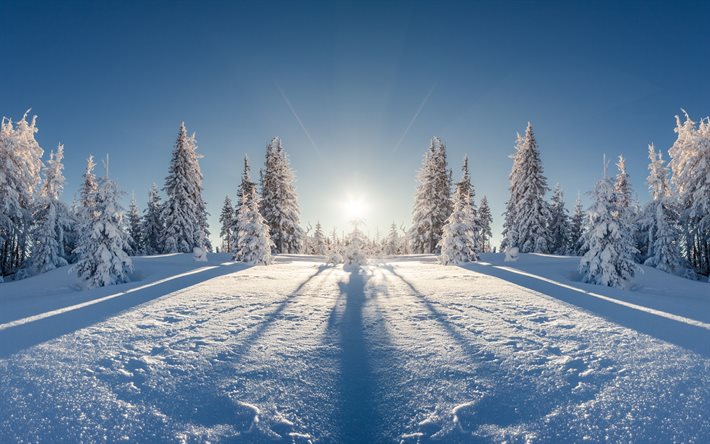 Le previsioni meteo in Friuli Venezia Giulia di giovedì 20 febbraio Le previsioni meteo in Friuli Venezia Giulia di giovedì 20 febbraio