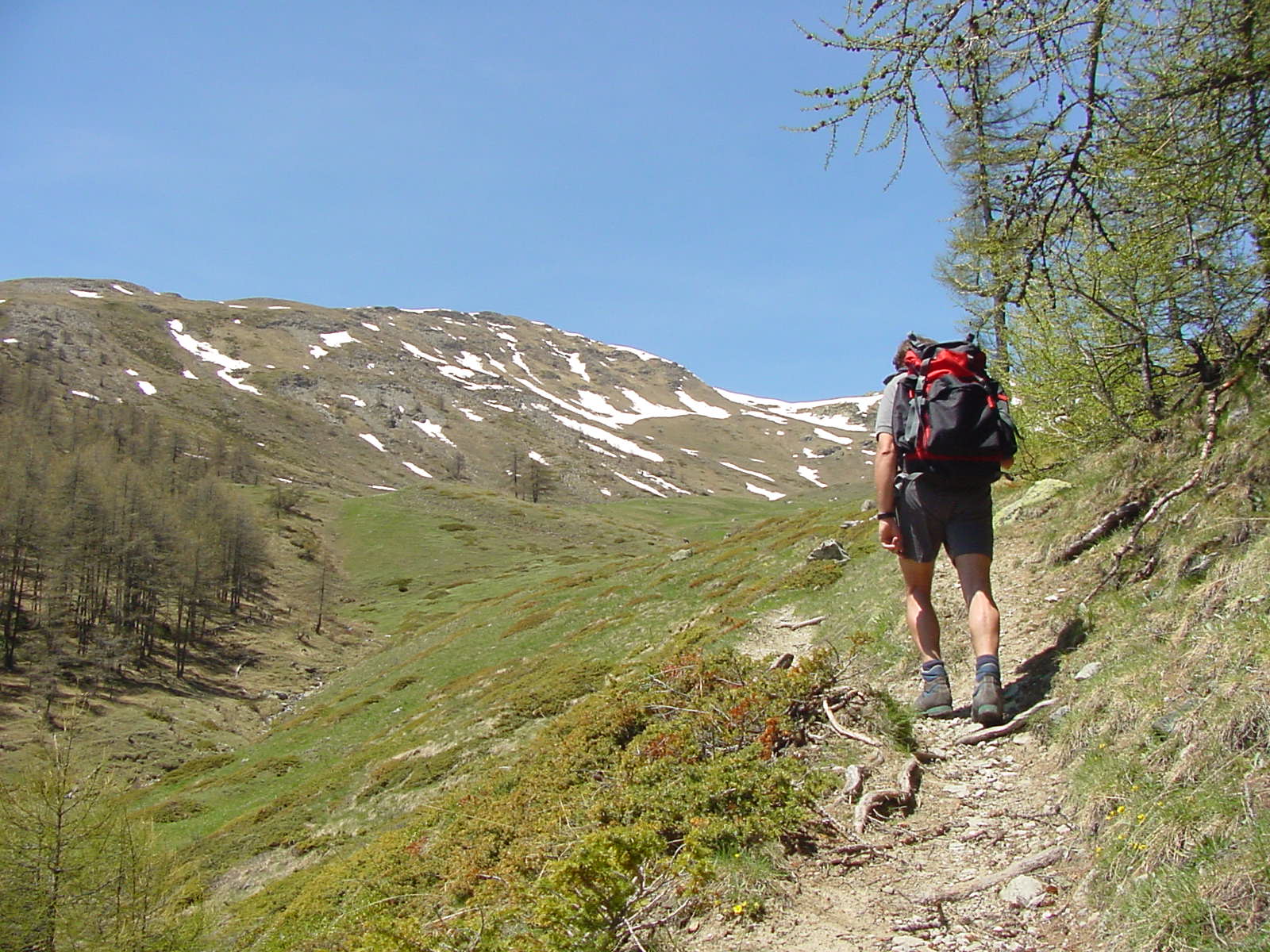 Friuli, l'appello per salvare i sentieri delle zone in montagna