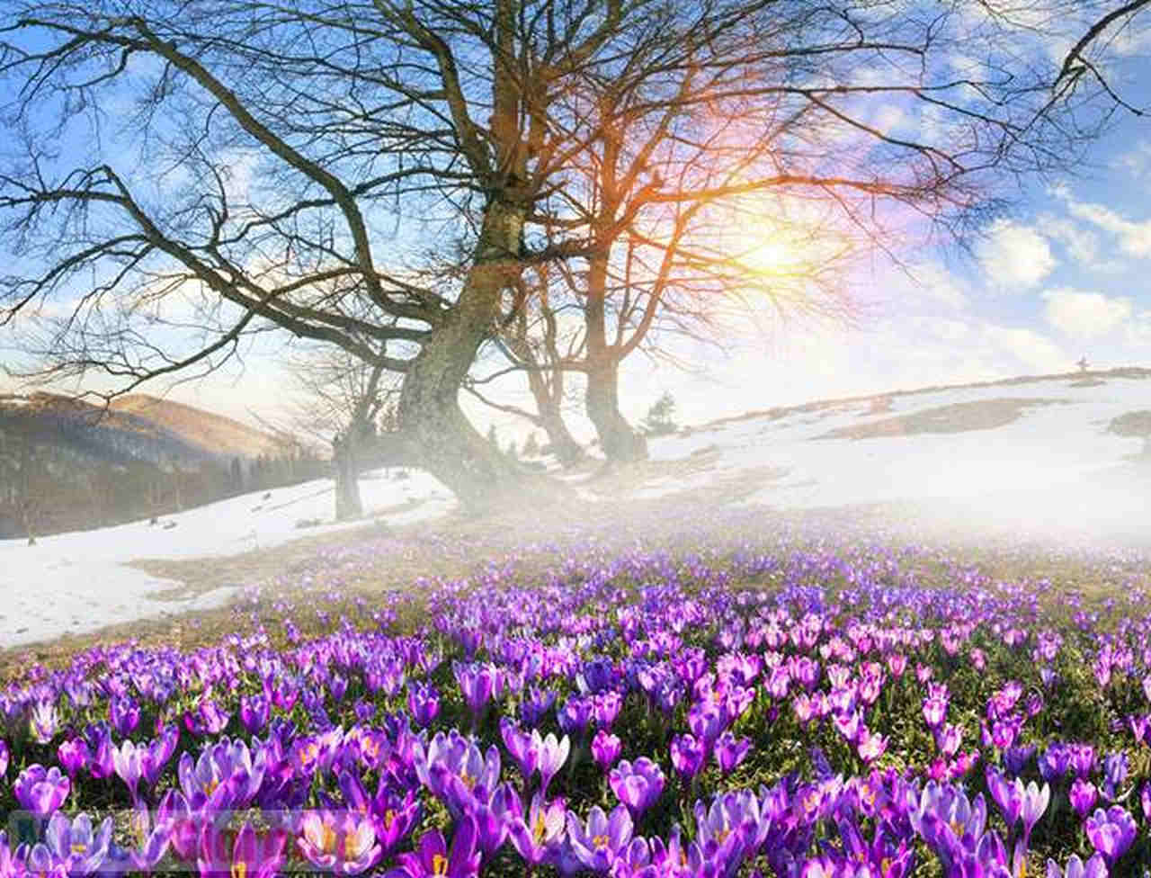 Il mese di febbraio con il suo proverbio nostalgico e la voglia di ...