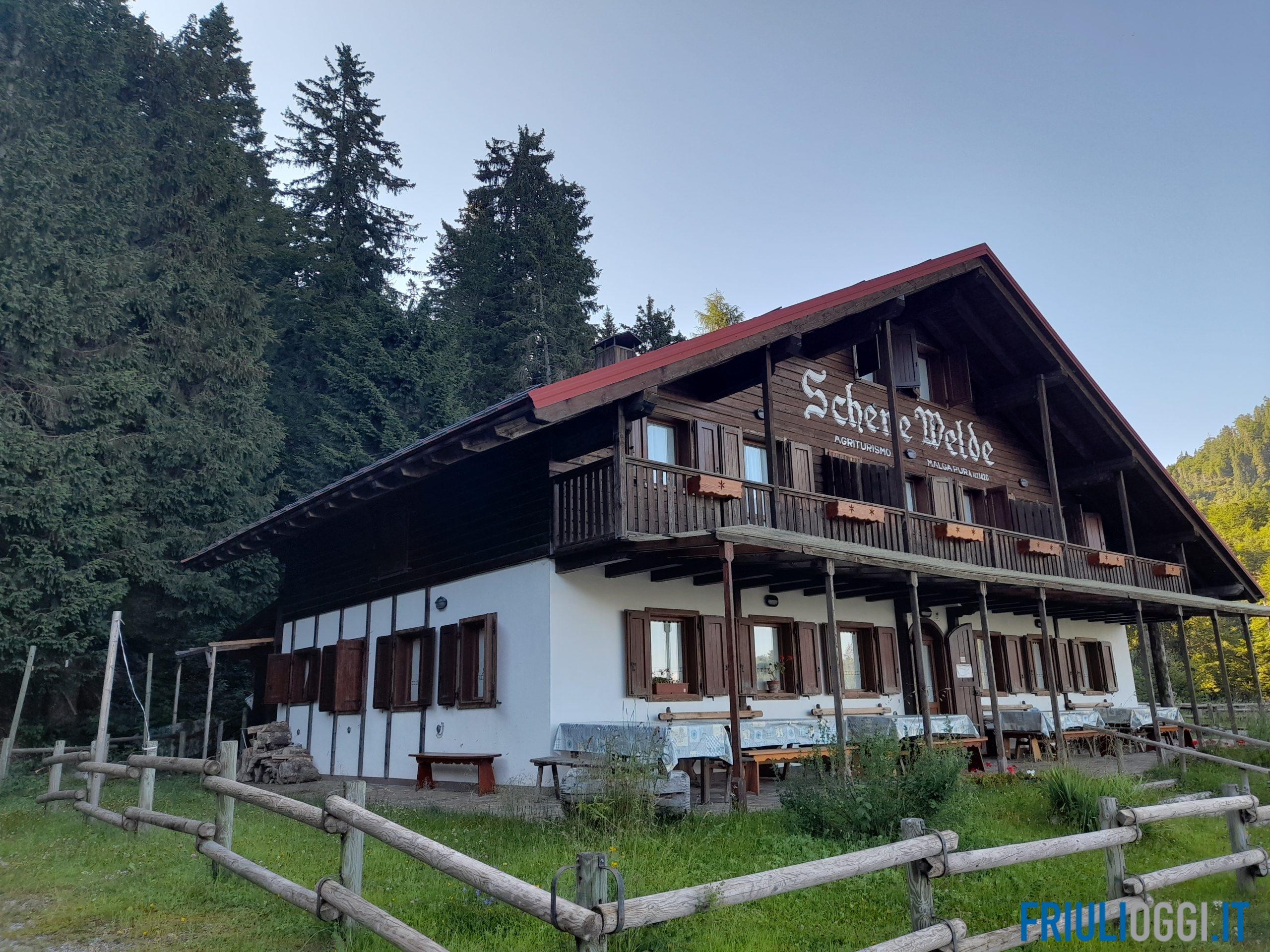 A Malga Pura il taglio della prima forma di formaggio della stagione