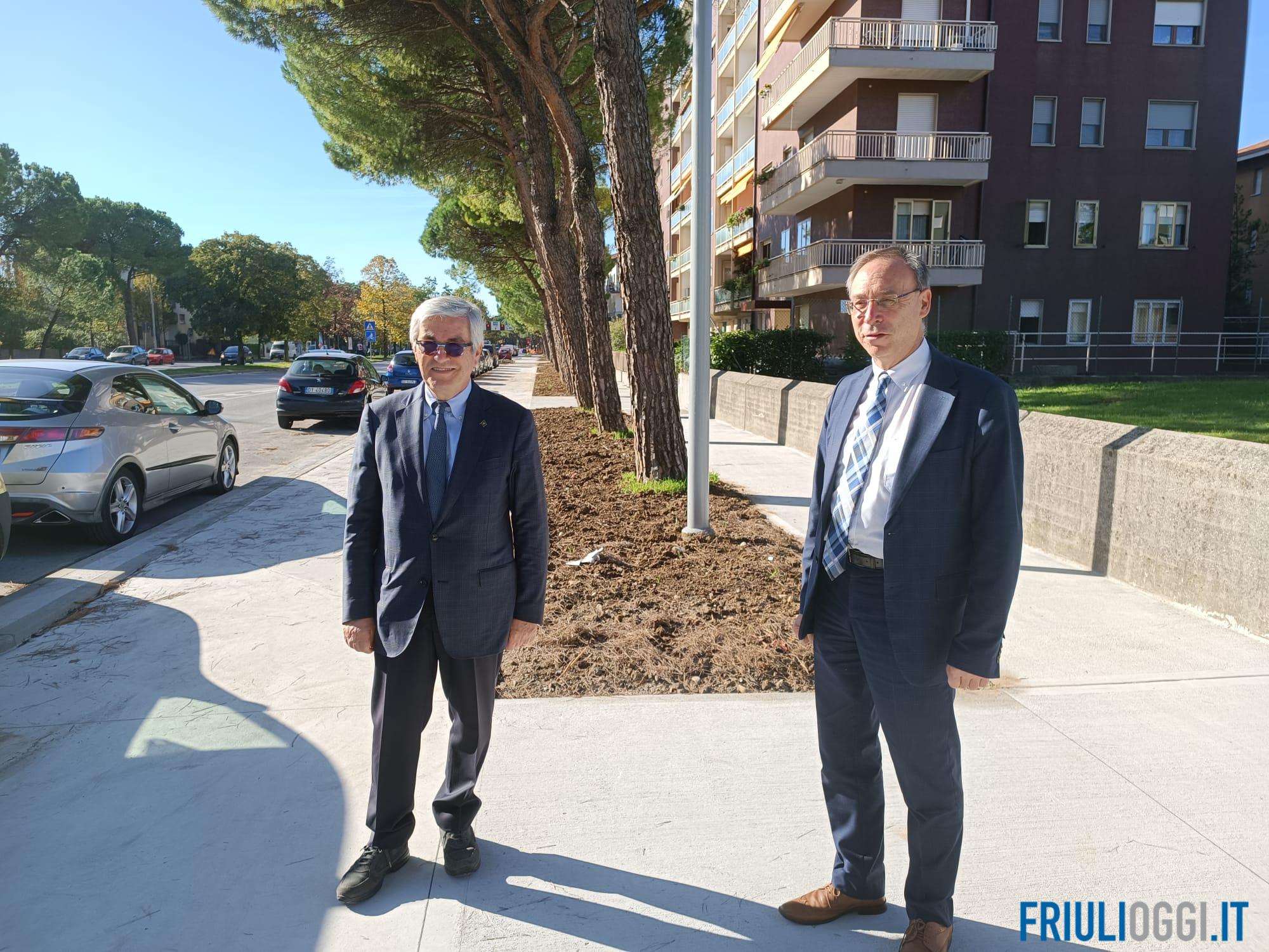 Udine, conclusi i lavori su viale Cadore, salvi tutti i pini marittimi