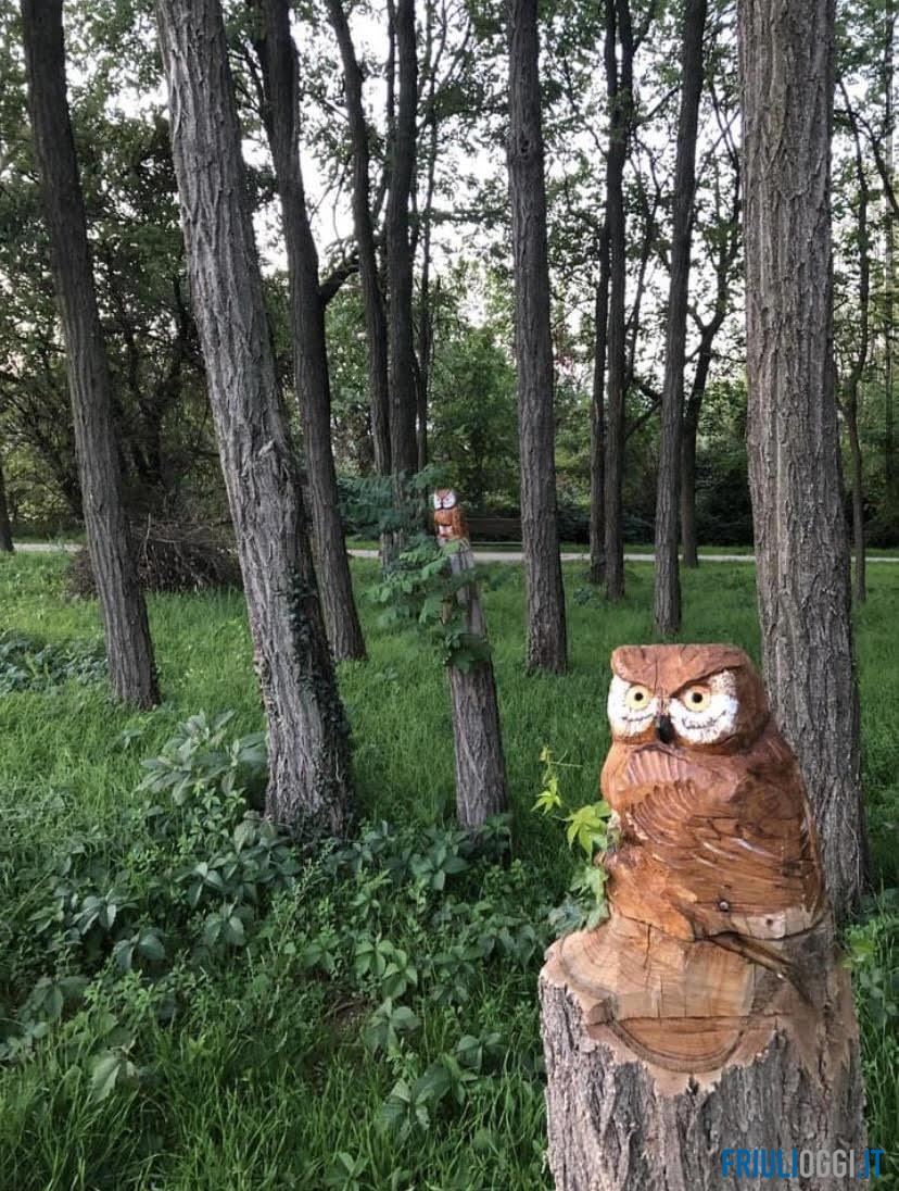 Colugna, i gufi del boschetto friulano cercano la mano che li ha intagliati