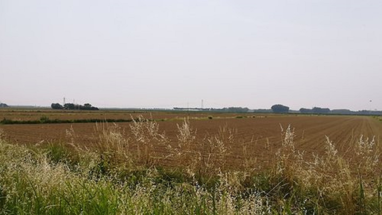 Cielo opaco in Friuli, colpa della sabbia del Sahara