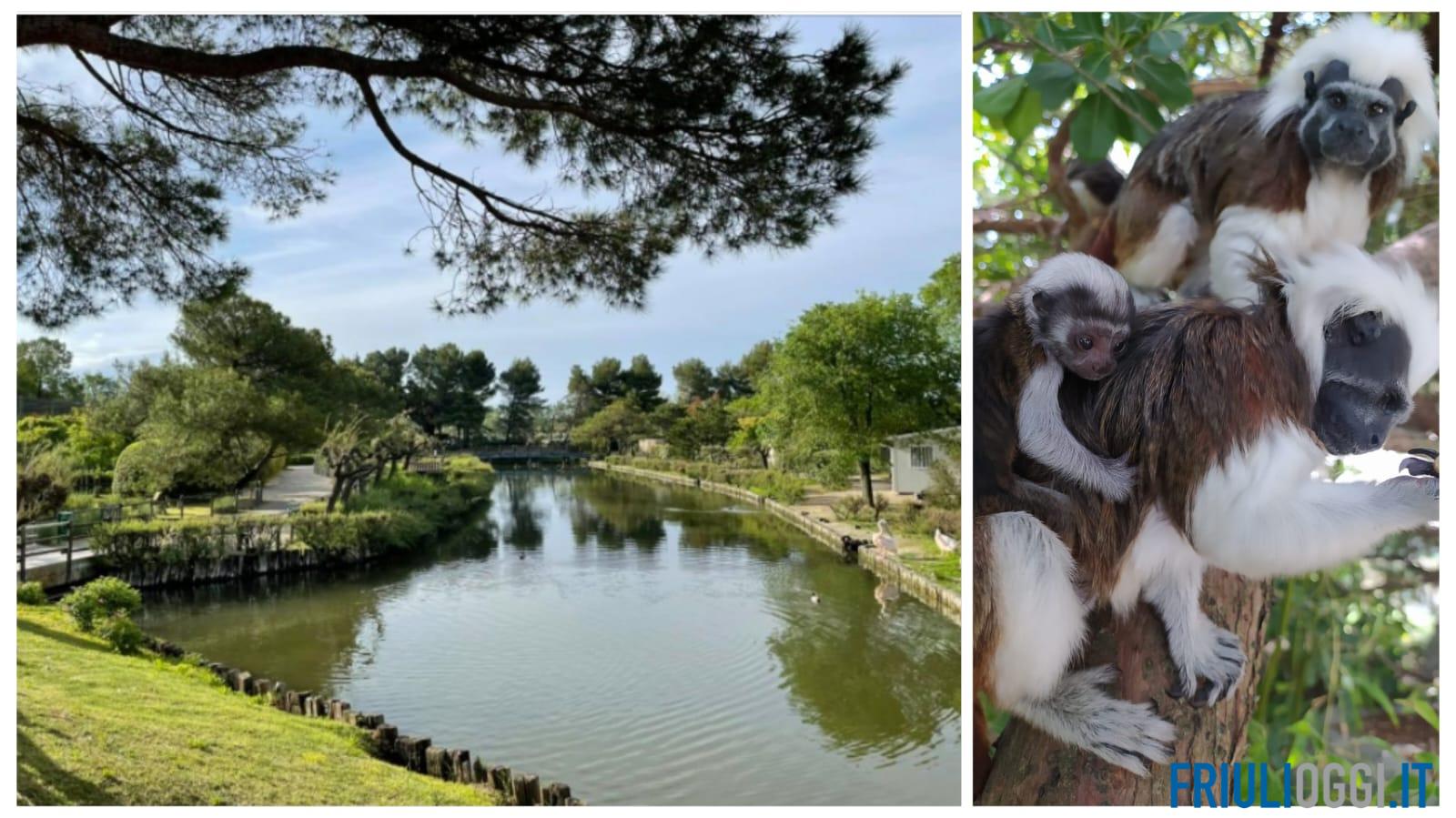 Riparte la stagione dello Zoo di Lignano con tante novità e sorprese