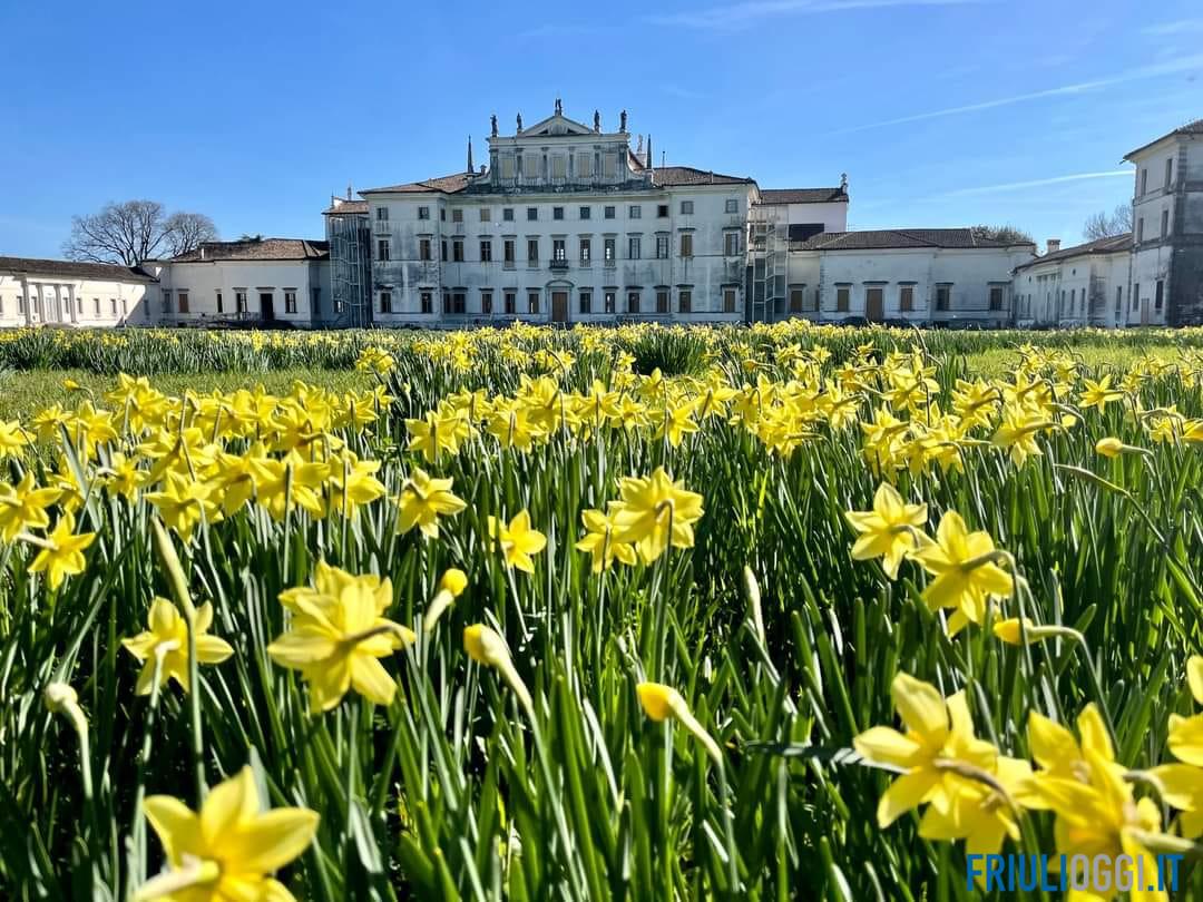 Nel parco di Villa Manin, l'esposizione "Nel Giardino del Doge"