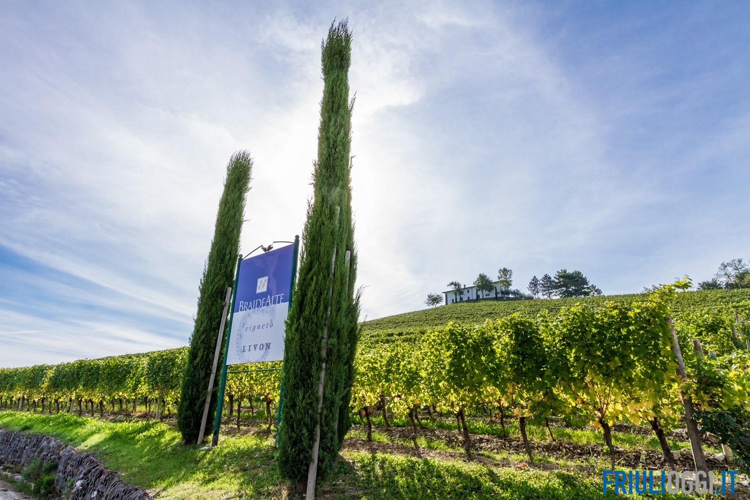La storica famiglia Livon festeggia al Vinitaly i 60 anni di attività