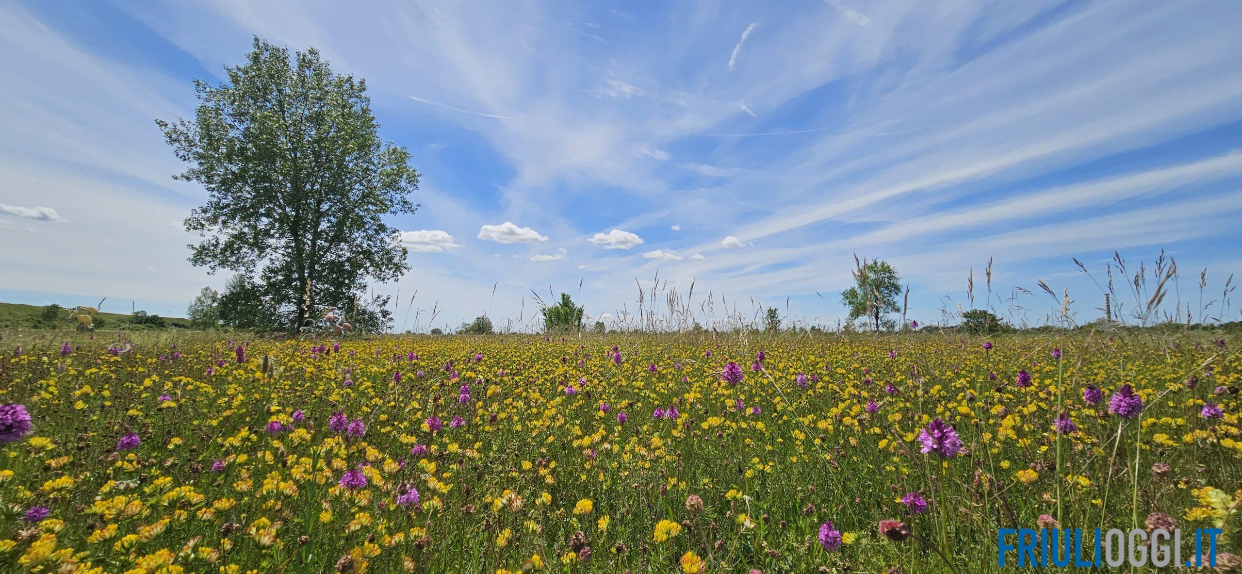 Un documentario racconta i Magredi, la "steppa friulana"