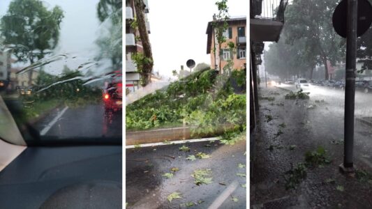 Il maltempo colpisce anche Udine: grandine, vento e alberi caduti