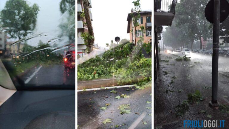 Il maltempo colpisce anche Udine: grandine, vento e alberi caduti